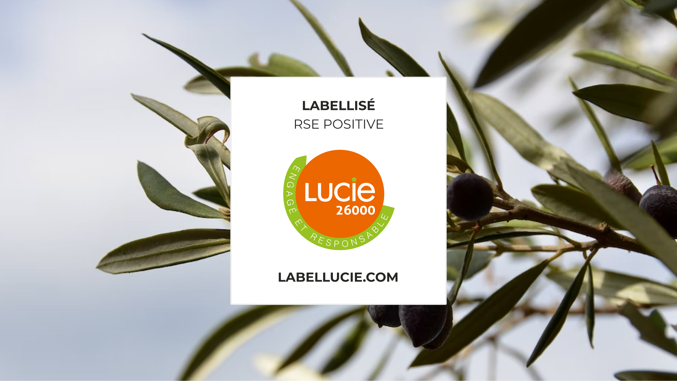 Values.media obtient le Label LUCIE 26000 - values.media